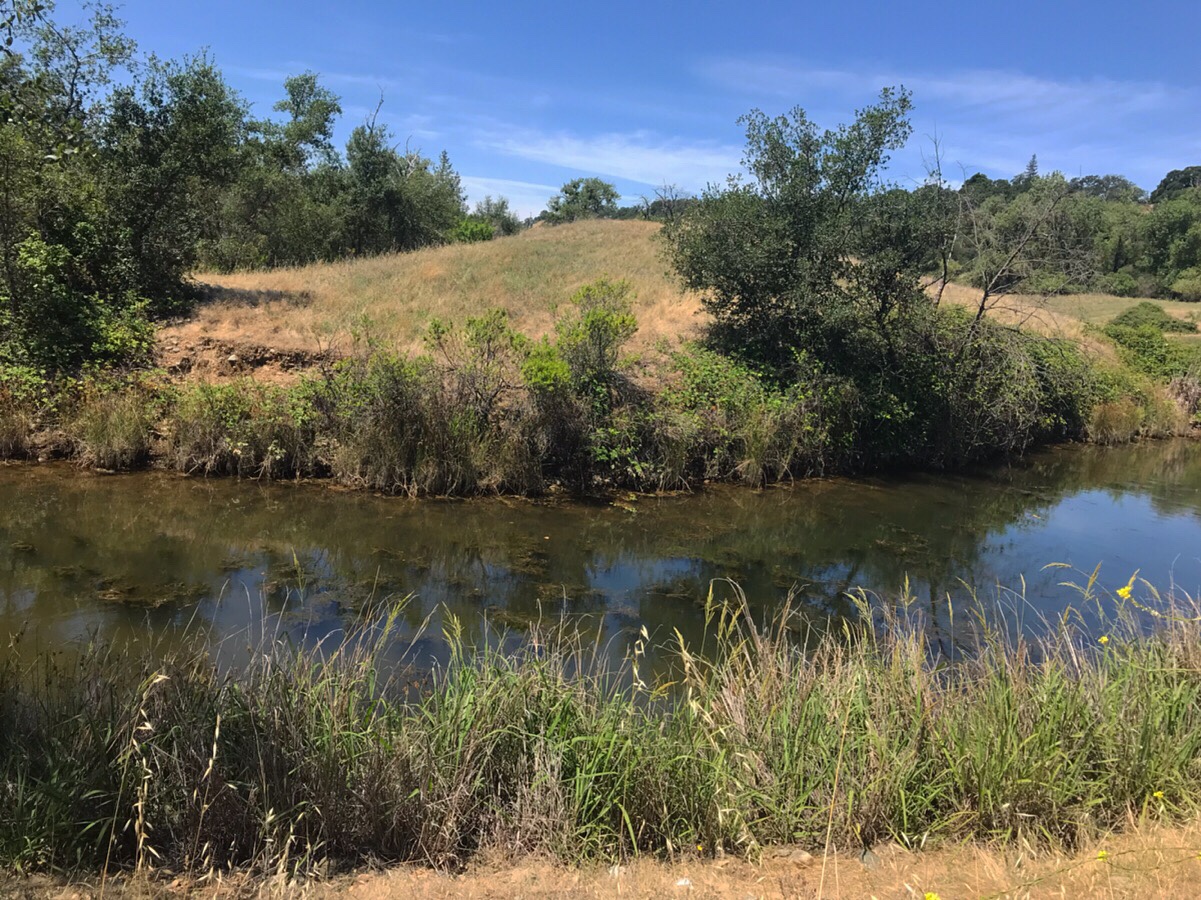 revelries – Hayden Winston